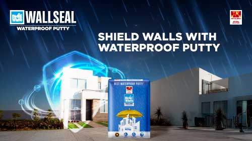 Stop Damp Walls! Know waterproof Putty Secrets Before Painting