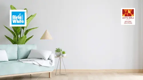 Choosing the Best Distemper Paint for Your Home: A Buyer’s Guide