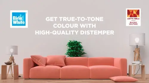 Which distemper paint on wall gives true-to-tone colour without uneven ...
