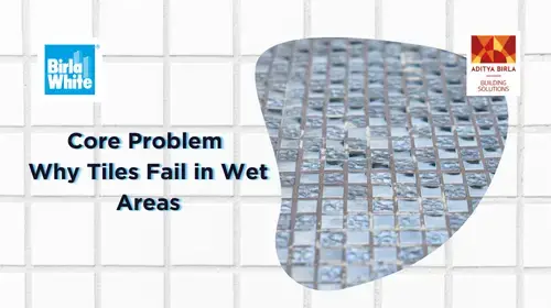 Best Tile Adhesive That Won’t Fail in Wet & Moist Areas